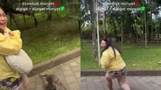 Waduh! Clara Kaizer Digigit Monyet Saat Berlibur di Bali