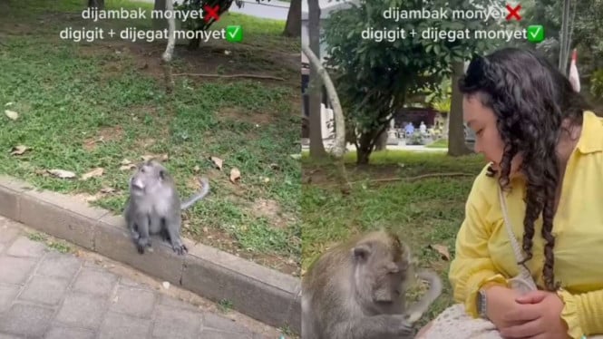Waduh! Clara Kaizer Digigit Monyet Saat Berlibur di Bali