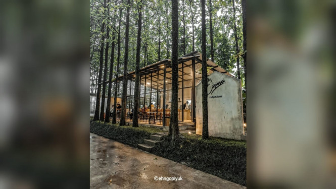 3 Hidden Gem Kafe Outdoor & Indoor di Sentul Cocok Dikunjungi di Akhir Pekan Untuk Melepas Penat