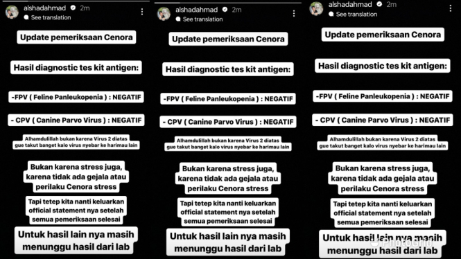 Alshad Ahmad Update Pemeriksaan Cenora, Tegaskan Mati Bukan Karena Stres Alshad Ahmad Update Pemeriksaan Cenora, Tegaskan Mati Bukan Karena Stres