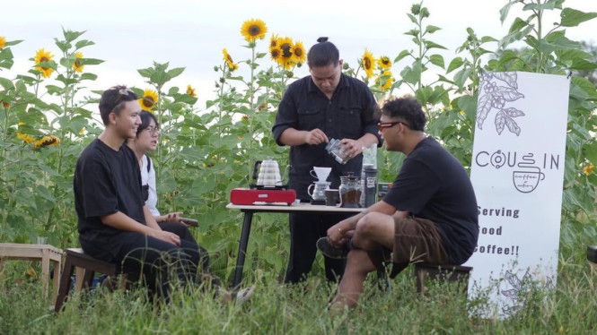 Masih Banyak yang Belum Tahu, Ada Kebun Bunga Matahari Cantik di Puncak ...