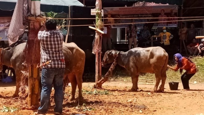 Tiwah Jadi Ritual Sakral Suku Dayak Ngaju