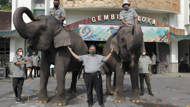 Liburan Keluarga ke Gembira Loka Zoo Jogja, Ini Harga Tiket Terbaru ...