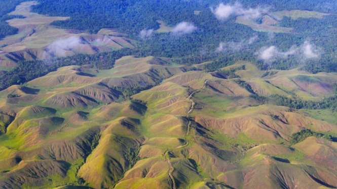 Hamparan Keajaiban Alam di Lembah Baliem