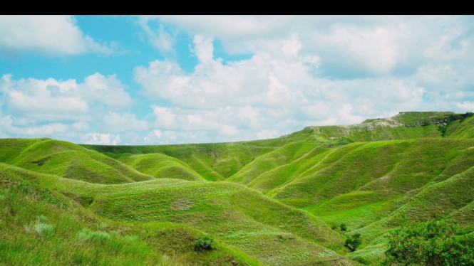 Kumpulan Berita Terbaru waingapu - VIVA Bali