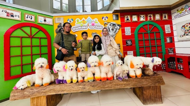 Main ke Rumah Guguk Bandung? Ini 10 Tips Biar Pengalamanmu Makin Seru!