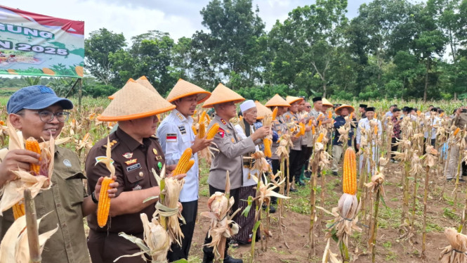 Polresta Serkot Panen Raya Jagung Kuarta IV