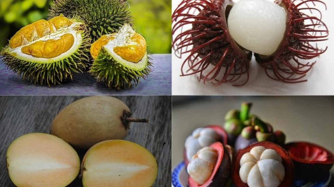 Foto Jelajah Rasa Buah Eksotis: Kalender Musim Buah Panduan Tepat dari ...