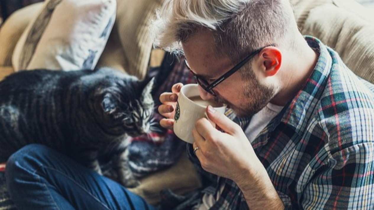 Foto Cafe Pet Friendly di Jakarta, Tempat Asyik Nongkrong Bareng Hewan ...