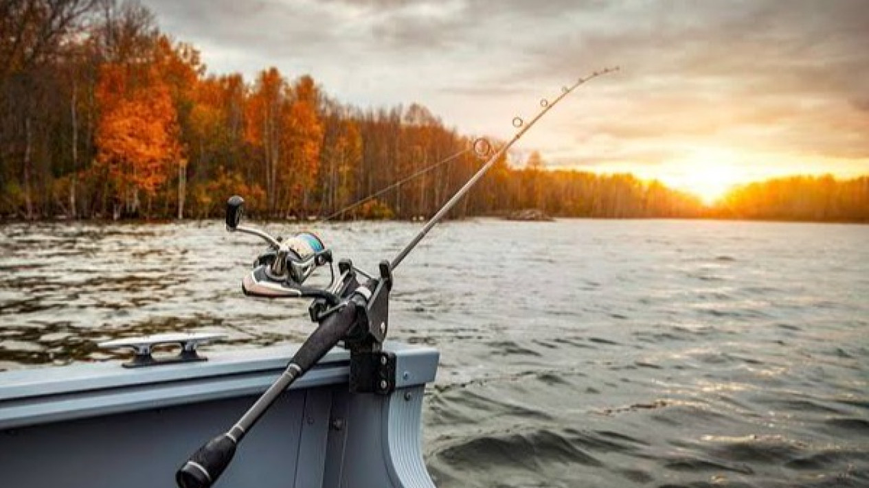 Foto Yang Hobi Memancing Wajib Tau Perbedaan Memancing di Laut, Sungai ...