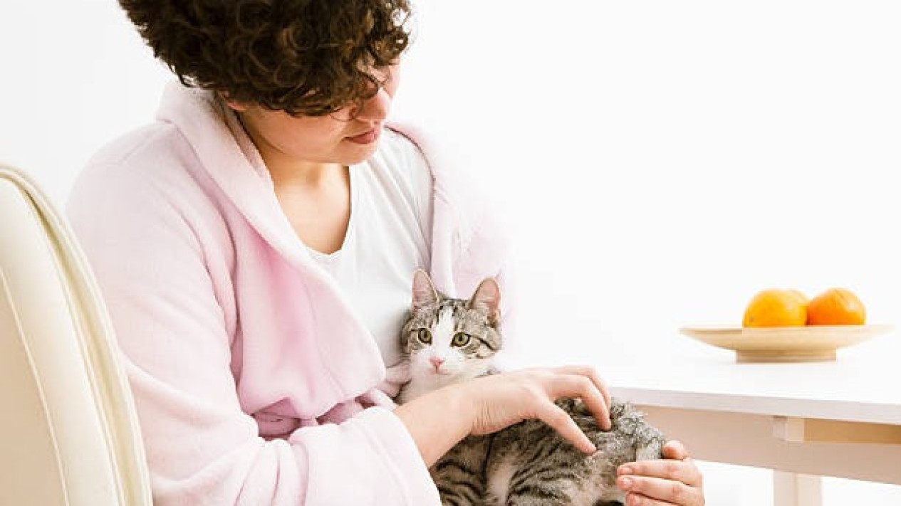 Foto 7 Manfaat Memelihara Kucing yang Jarang Diketahui