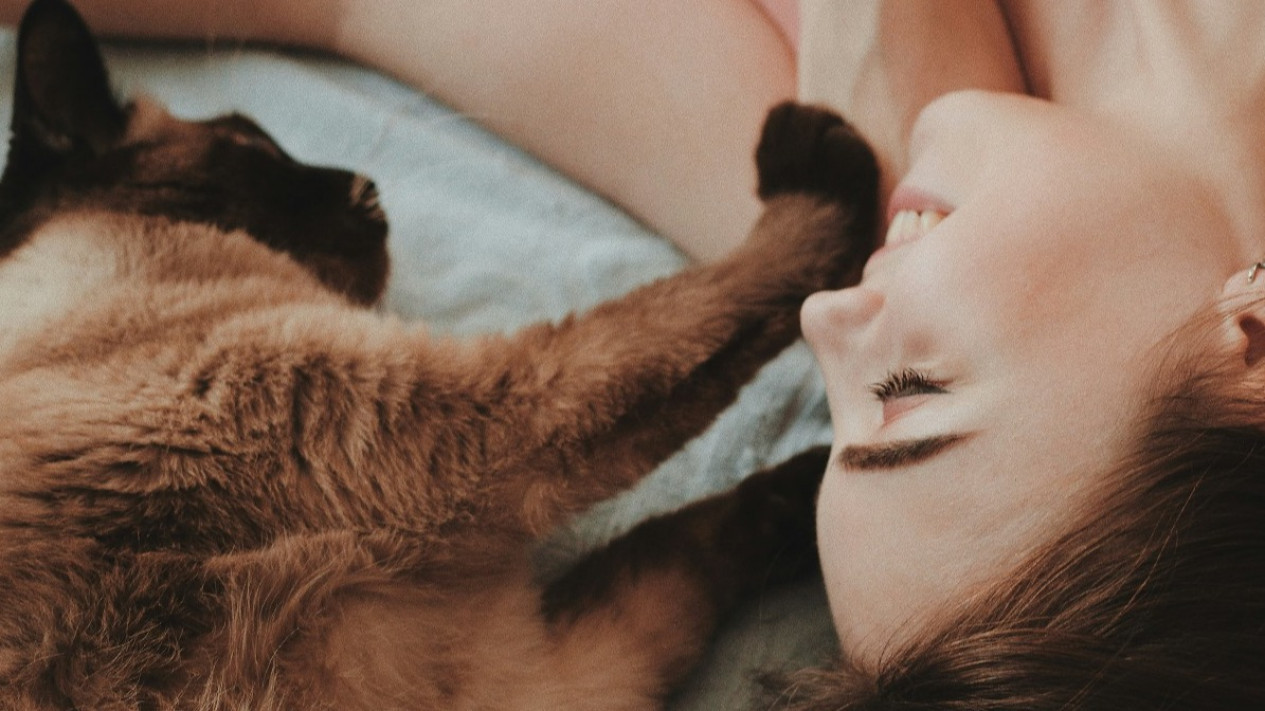 Foto Kucingmu Sering Lakukan Ini? 4 Cara Kucing Menunjukkan Cinta ke ...