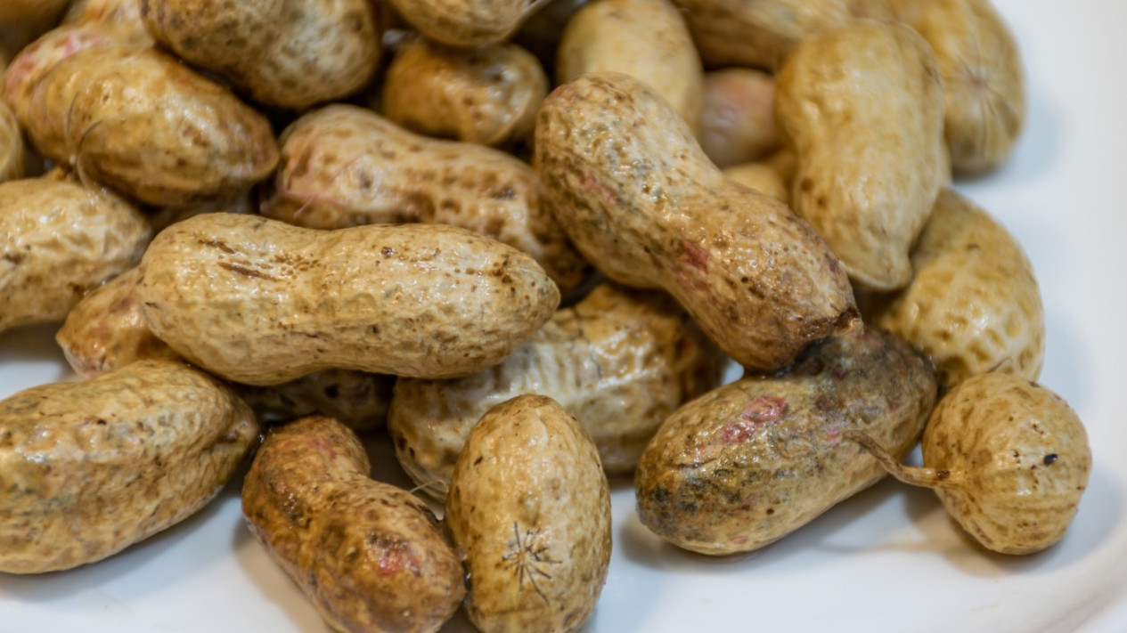 Foto Cara Memasak Kacang Rebus agar Hemat Gas dan Dijamin Empuk