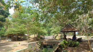 Melihat dari Dekat Wisata Alam dan Sungai Lungun Indah, Destinasi ...