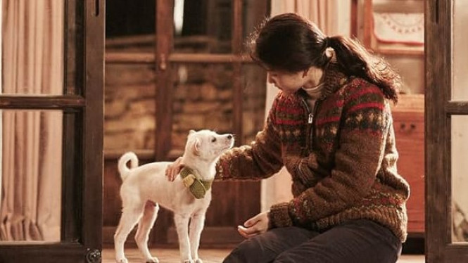 15 Rekomendasi Film dan Drama Korea yang Cocok Ditonton Bersama Keluarga