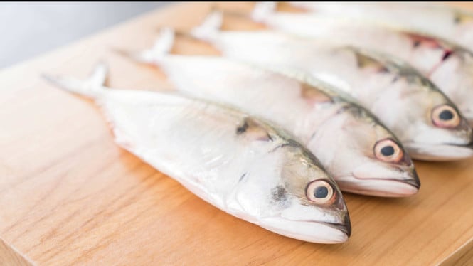 Lebih Murah! Fakta Kandungan Gizi Ikan Kembung Yang Setara Dengan Ikan ...
