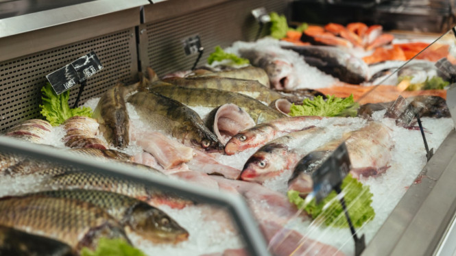 Begini Cara Jitu Simpan Ikan di Kulkas Ala Profesional, Jangan Sampai ...