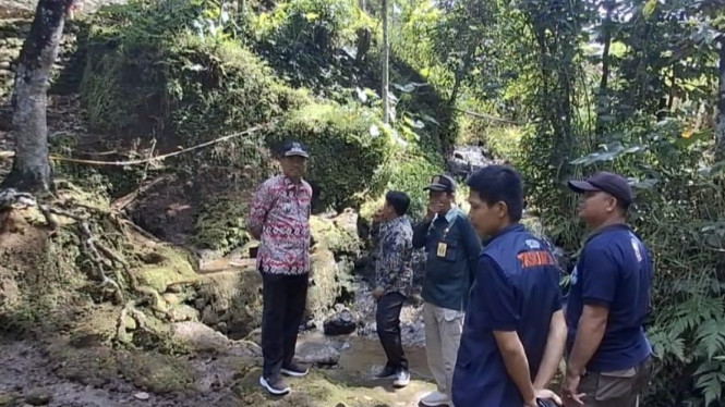 Suami Istri di Jember Luka-Luka Diseruduk Babi Hutan yang Masuk ...