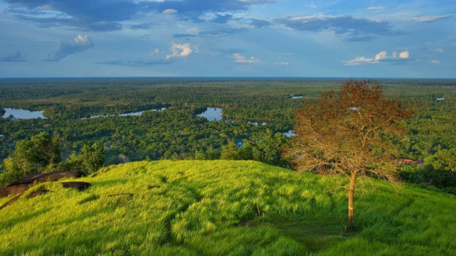 5 Tempat Wisata di Kalimantan Tengah yang Wajib Dikunjungi untuk ...