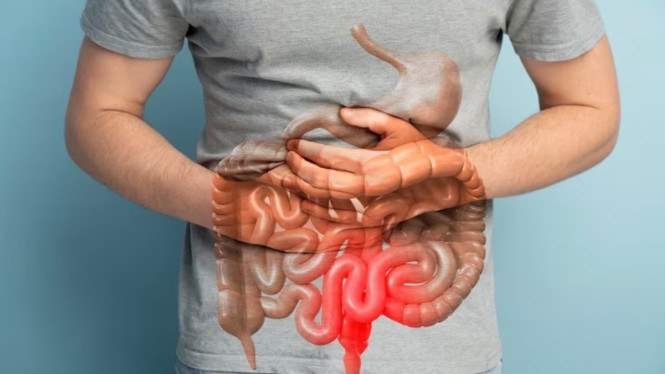 Usus Kotor Bikin Badan Lemot? Begini Cara Mudah Membersihkannya Menurut ...