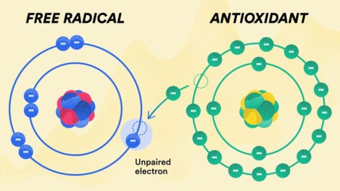 Kenapa Tubuh Butuh Antioksidan? Ini Penjelasan Lengkapnya!