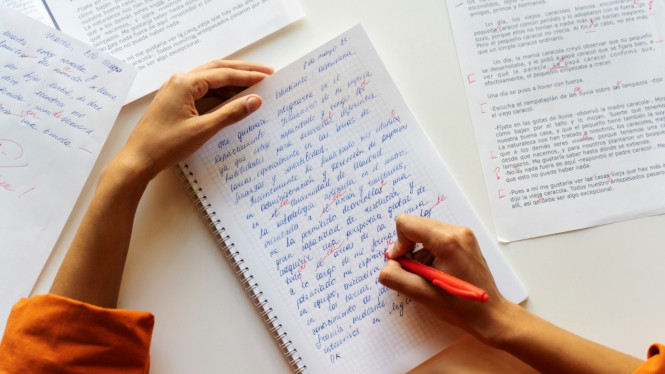 7 Contoh Paragraf Induktif yang Bikin Kamu Langsung Paham!