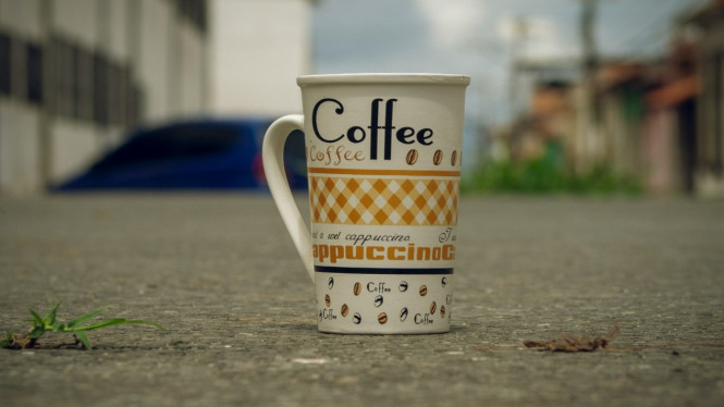 Bisnis Kopi Starling Modal Tipis, Cuan Maksimal. Cocok Buat Pemula dan ...