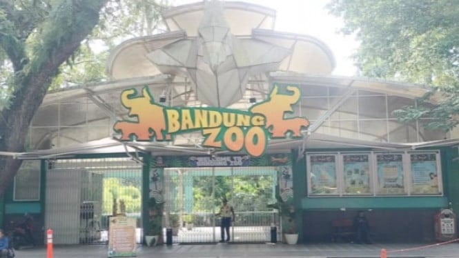 Rebutan Pengelolaan Bandung Zoo Berakhir Ricuh, Pintu Utama Dijebol