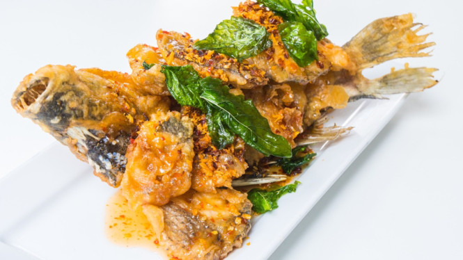 Rekomendasi Menu Olahan Patin yang Wajib Dicoba
