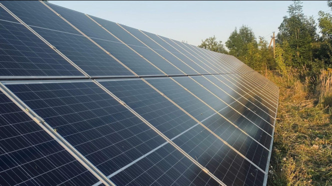 Peran Renewable Energy Indonesia Dalam Transisi Energi