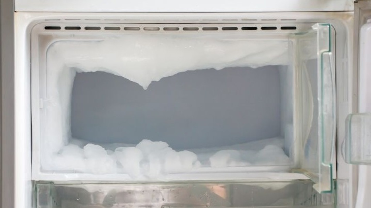 Foto Bunga Es Kulkas Susah Cair? Simak Tips Super Cepat Hilangkan Bunga ...