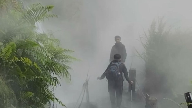 Misteri Gunung Gede yang Katanya Jadi Gerbang Alam Gaib di Jawa Barat