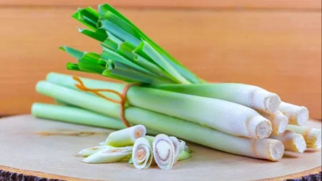 9 Manfaat Serai Untuk Kesehatan Tubuh Lebih Sehat Segar dan Bugar