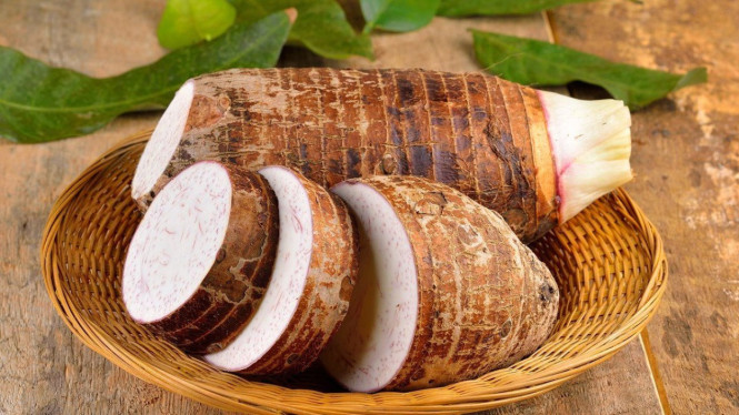 5 Manfaat Talas untuk Kesehatan Tubuh Bagus untuk Jantung, Usus dan ...