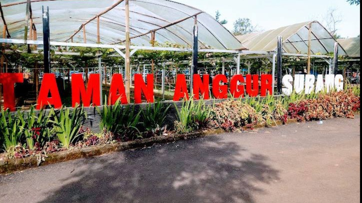 Foto Taman Anggur Kukulu Agrowisata Unik di Subang dengan Spot Foto Kekinian