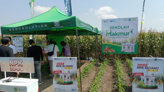 Keuntungan Petani Jagung Meningkat Berkat Ikut Program Makmur Pupuk Kujang