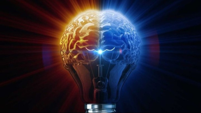 5 Cara Sederhana Tingkatkan Kecerdasan Otak Menurut Neurosains