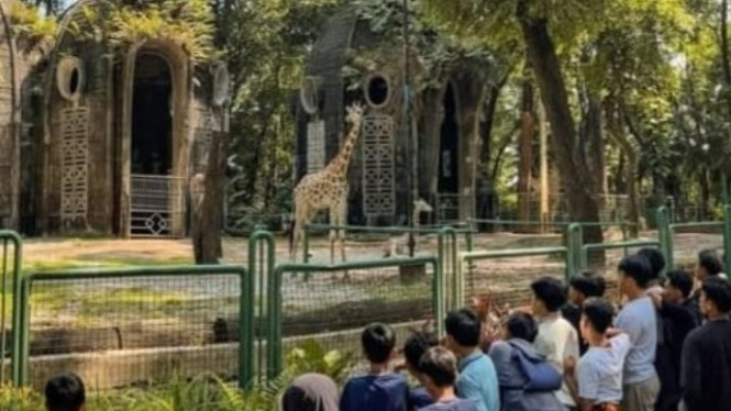 Ragunan Catat Rekor Diserbu 113.398 Wisatawan di Awal Tahun, Jalur Lalu ...
