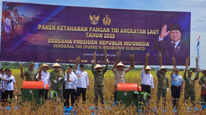 Panen Raya Kedelai Garuda Merah Putih, Sinergi TNI AL dan PT KUAB Catat ...