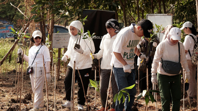 Berkomitmen Kurangi Emisi Karbon di Wilayah Pesisir, AEON Indonesia ...