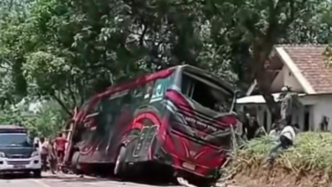 Bus Rombongan Asal Jember Kecelakaan di Lereng Bromo, 8 Orang Dilaporkan Tewas
