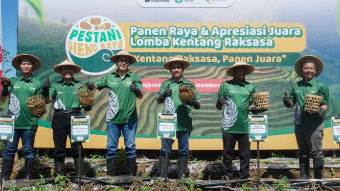 Dorong Produktivitas Pertanian, 175 Petani Dieng Adu Kentang Raksasa