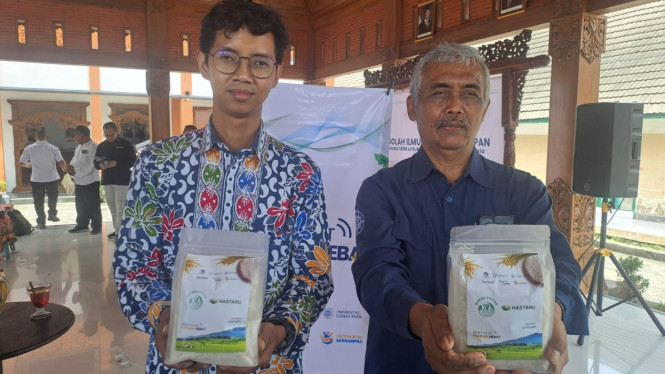 Mengenal Padi Unggul Buatan UGM Gamagora 7 Yang Diklaim Bisa Dukung ...