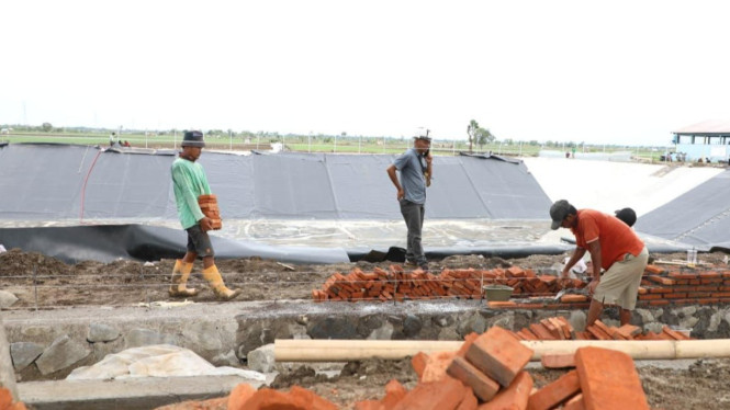 Jateng Genjot 10 Proyek Embung 2025, Petani Brebes Rasakan Dampaknya
