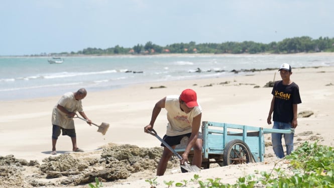 Hexa Reef di Tlangoh Jadi Benteng Abrasi dan Penggerak Ekonomi Warga