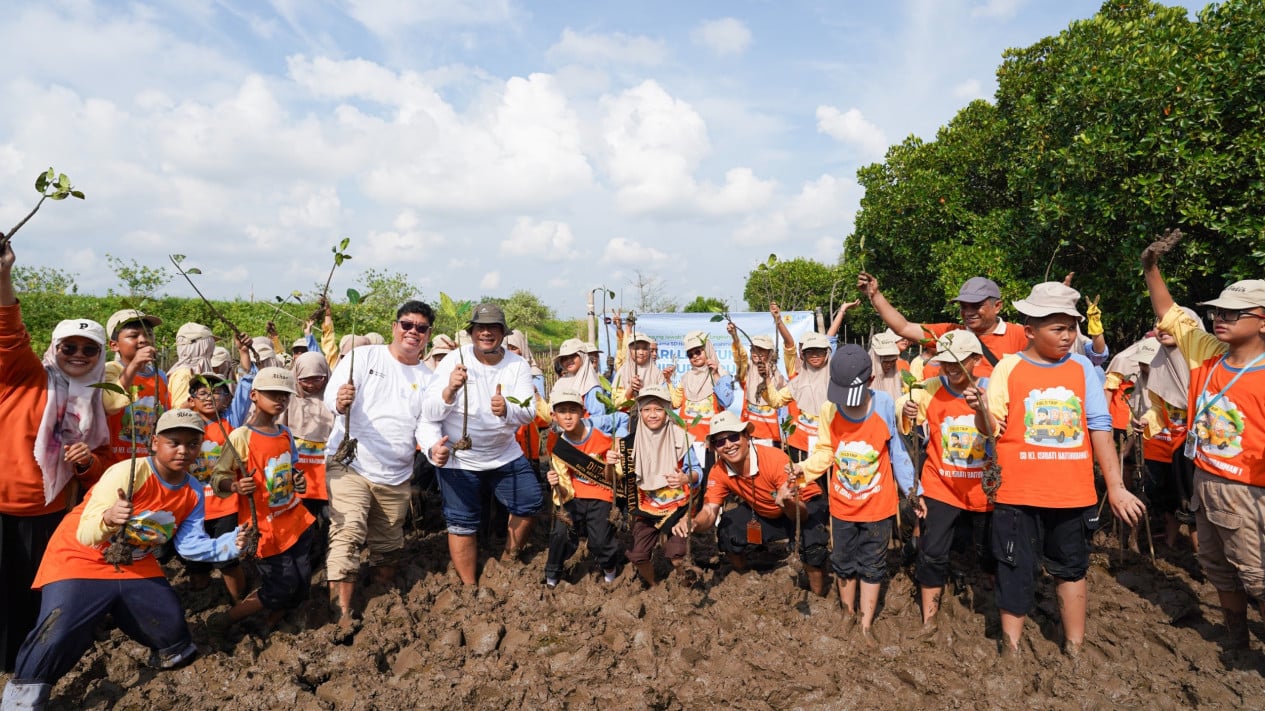 Foto Melalui Penanaman Mangrove, PLN Icon Plus Kenalkan Pelestarian ...