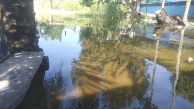 Kondisi Memprihatinkan Pekuburan Umum Kelurahan Mangga Seperti Danau ...