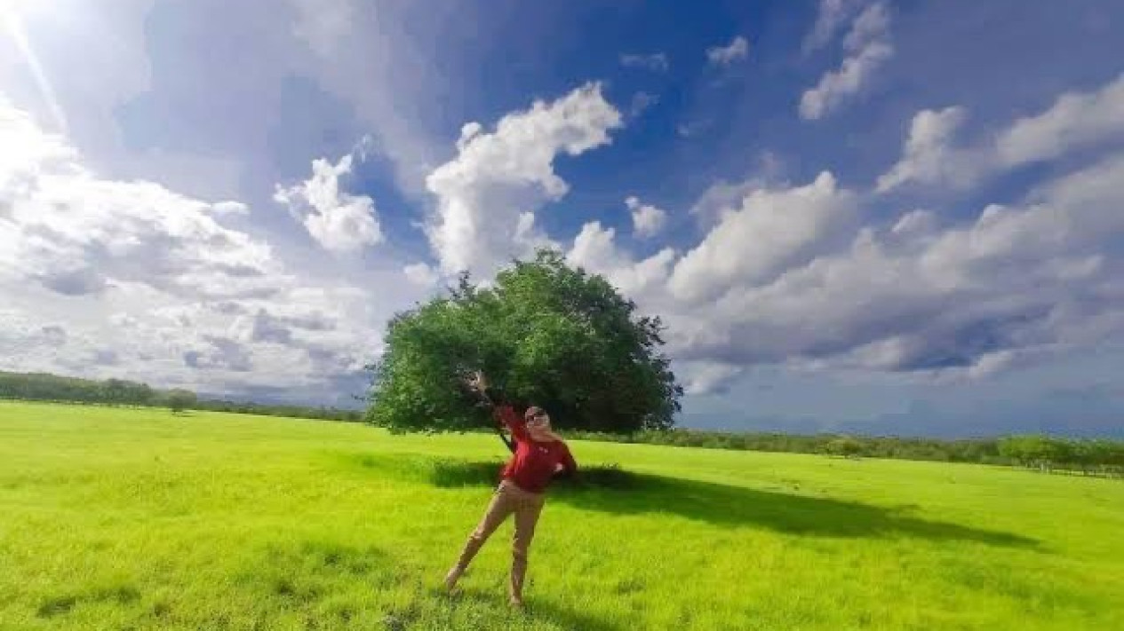 Foto Destinasi Wisata Padang Mausui Manggarai Timur Patut Dikunjungi ...