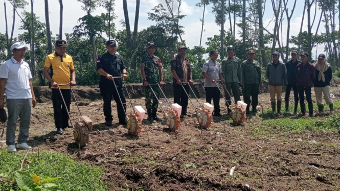 Ketua PLMDH Adil Sejahtera: Petani Kawasan Hutan Butuh Pupuk Subsidi ...