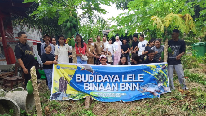 BNN NTT Lawan Narkoba Lewat Budidaya Ikan Lele, Kelurahan TDM Kupang ...